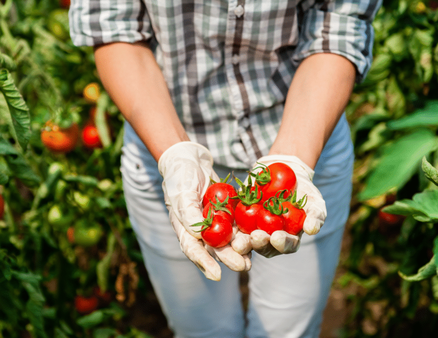 Latex Allergy Foods List – Common Triggers & Safer Options | Energetic ...
